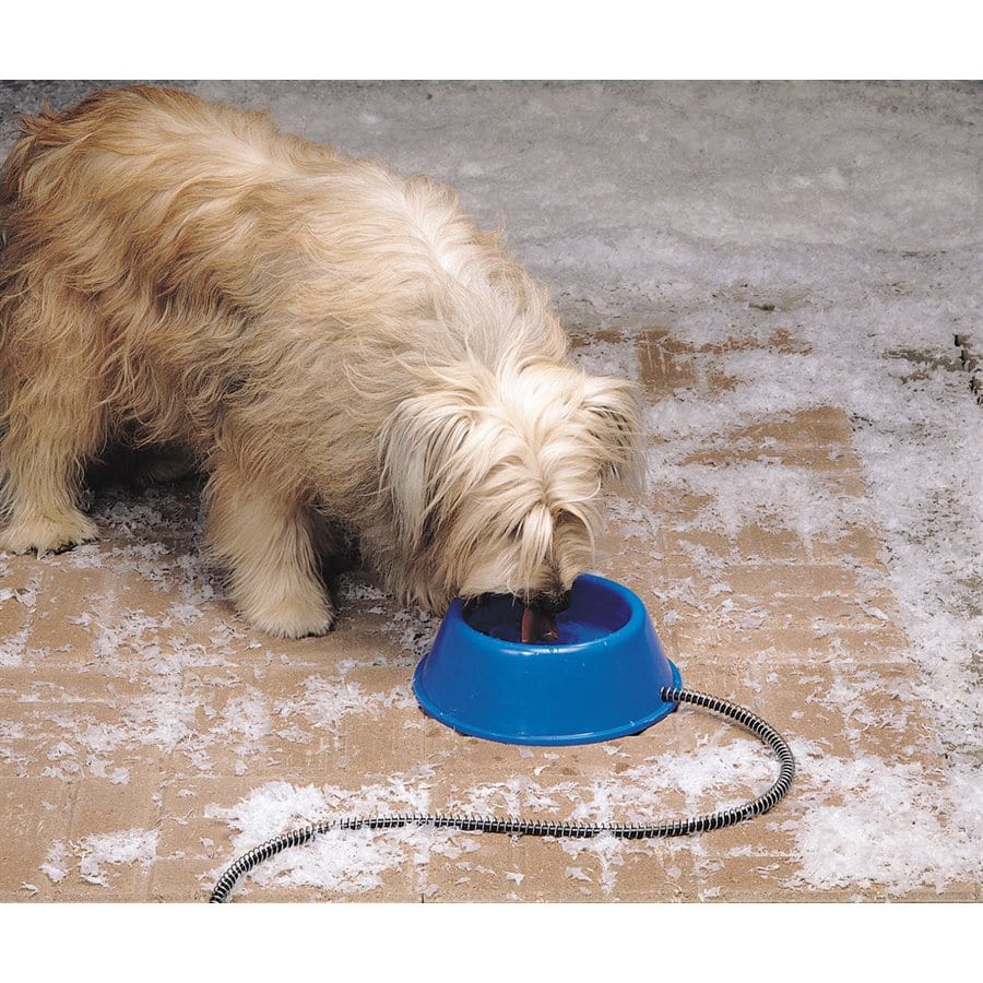 Bol chauffant – JNB Distributeur agricole